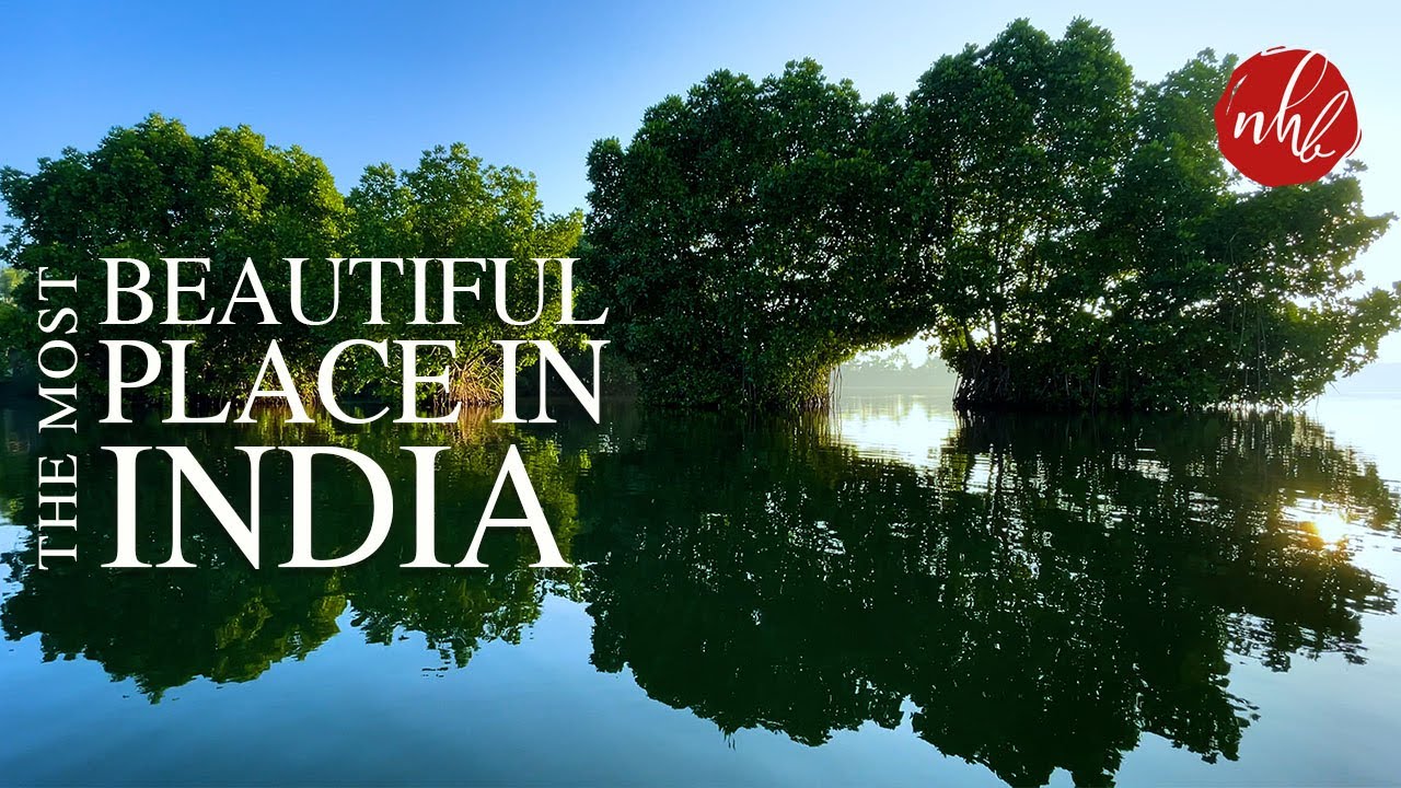 Munroe Island | Kollam Kerala | Beautiful Backwaters | Mundrothuruthu ...