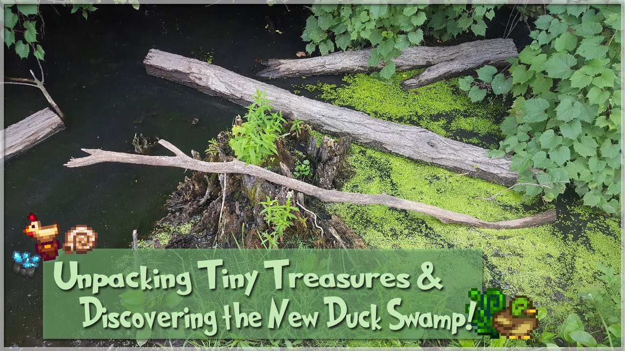 Unpacking Tiny Treasures & New Duck Swamp!! • Moving Vlog! - YouTube