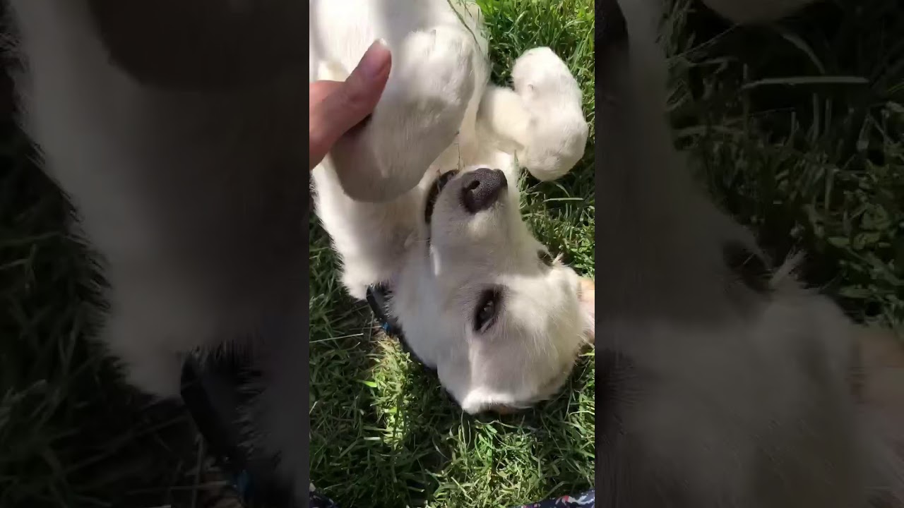 SILLY DEREK - YouTube