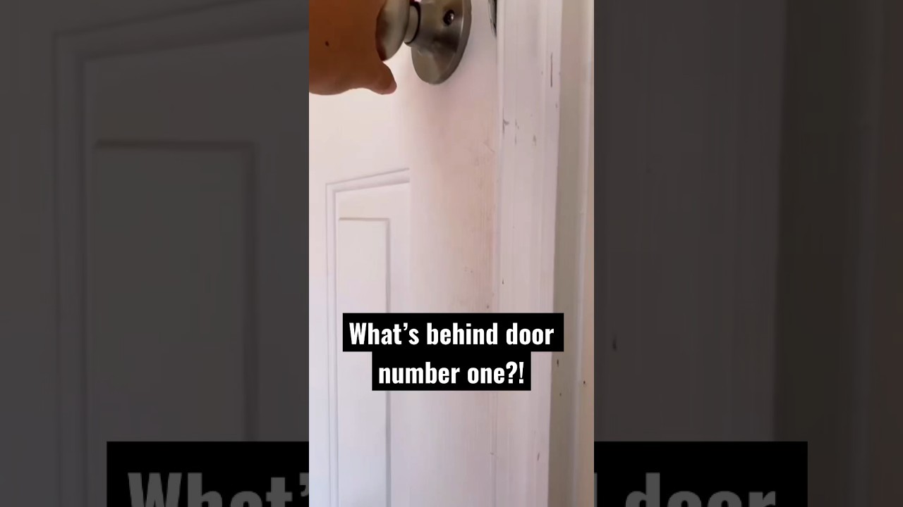 What’s BEHIND door number 1?! 🤩 #shorts #dogs #funnydogs - YouTube