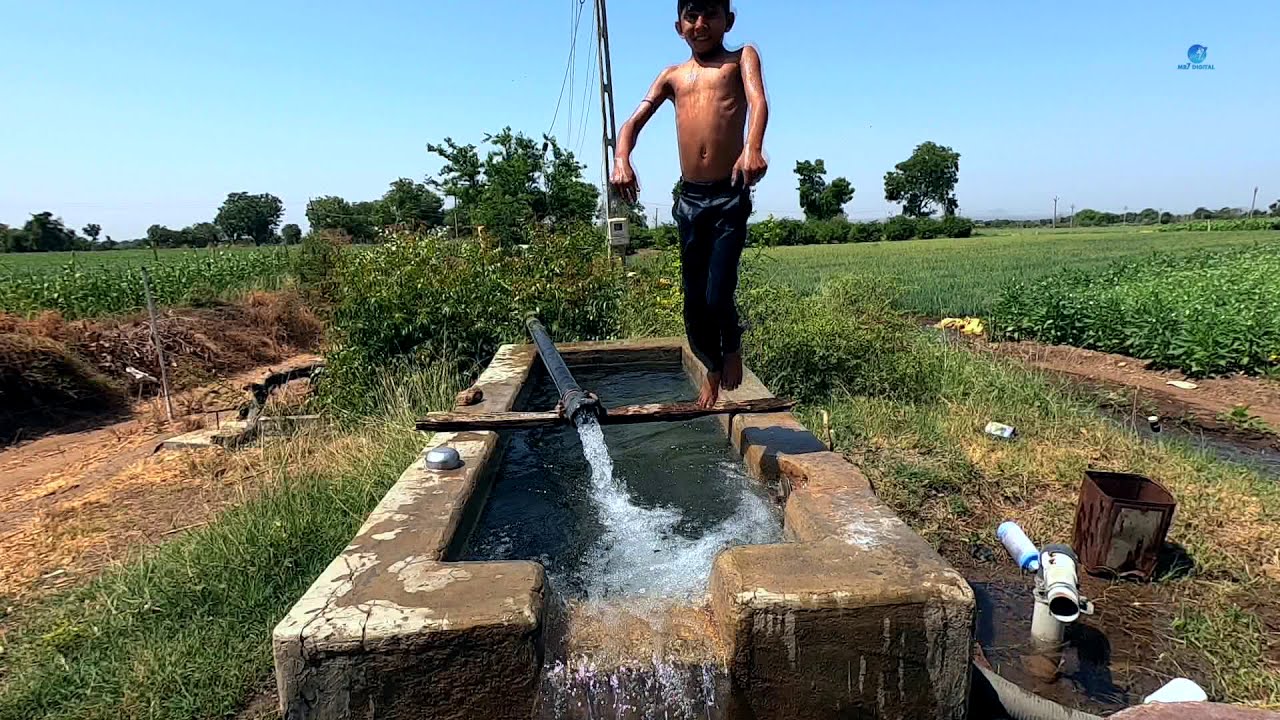 Beautiful Farm Of Gujarat || India ||Gujarat Farmers lifestyle - YouTube