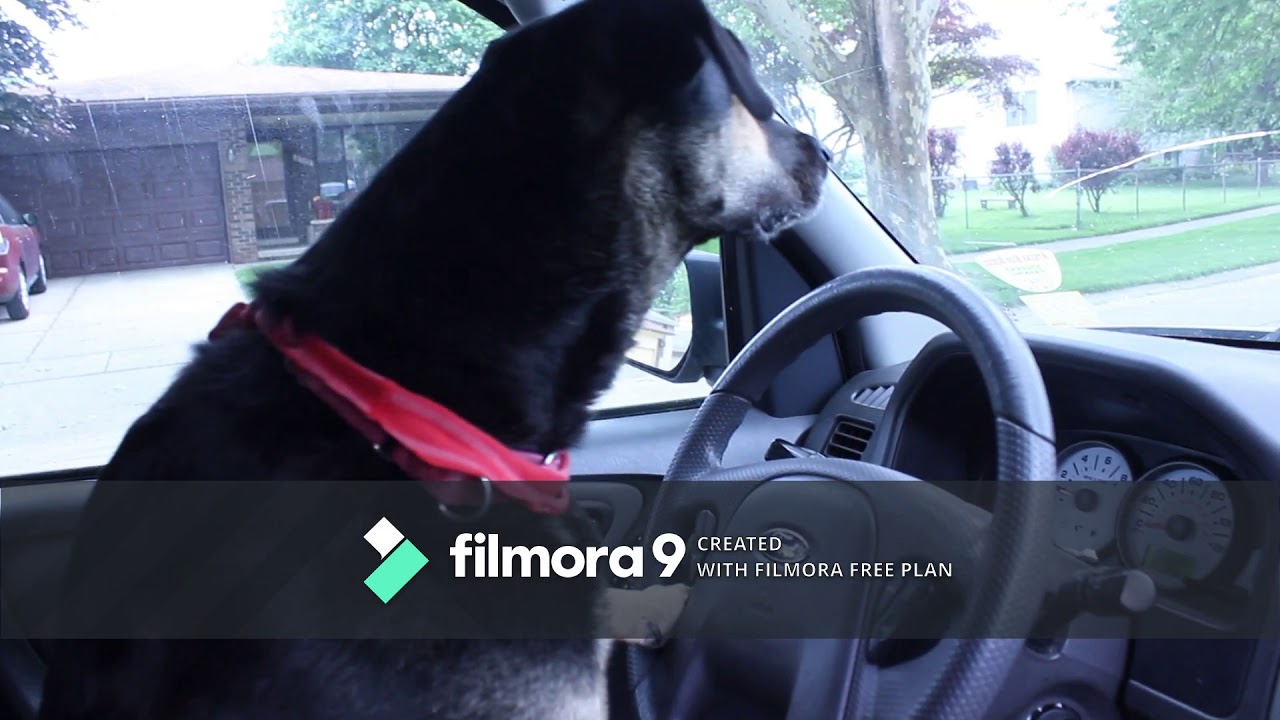 Texting and Driving PSA - YouTube