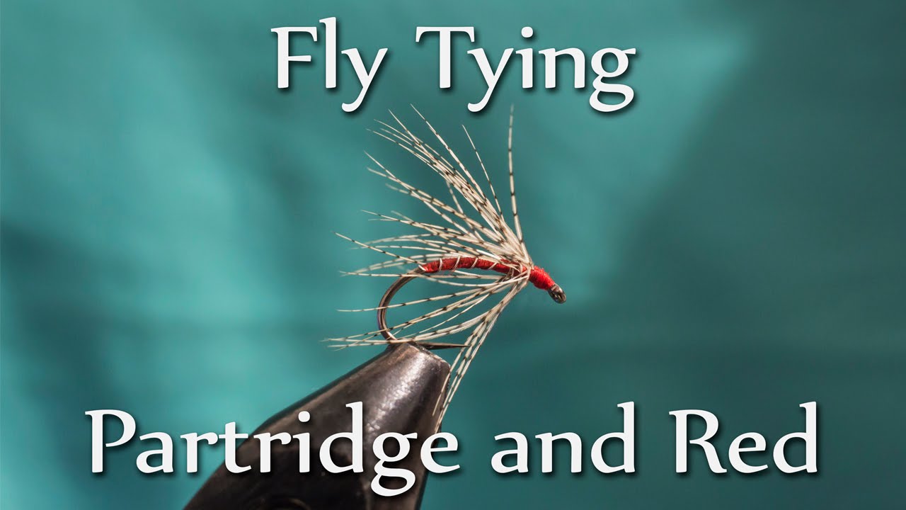 Fly Tying - Partridge and Red - YouTube