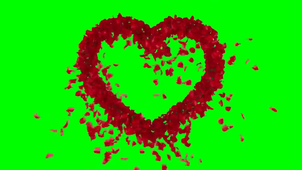 Red flower Heart green screen - YouTube