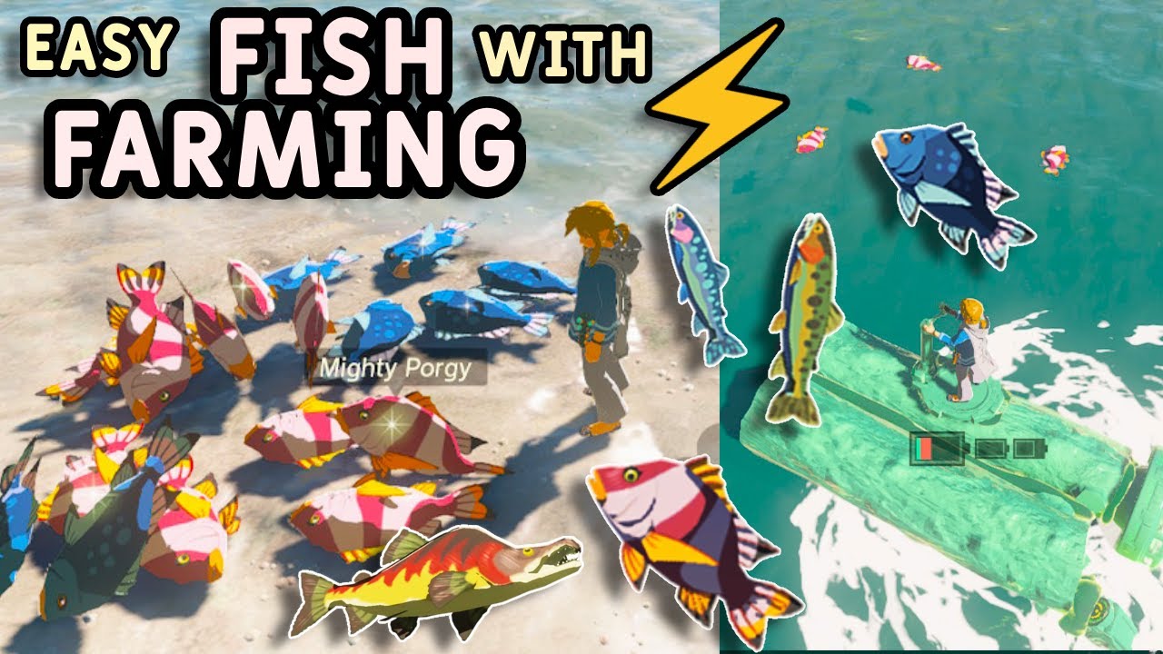 The Best Ways to Fish (with electricity!) in Tears of the Kingdom - YouTube