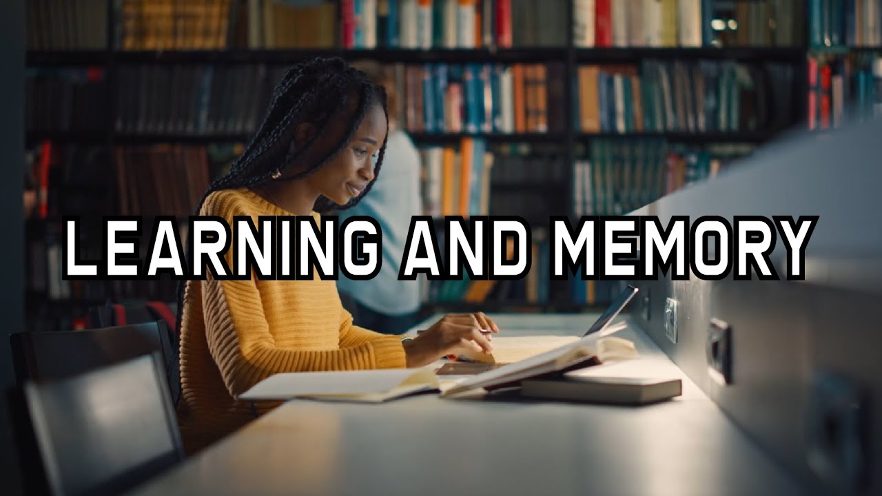 The Psychology of Learning and Memory - YouTube