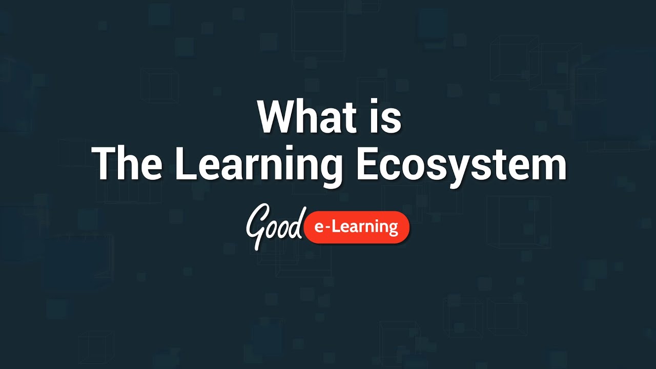 What is The Learning Ecosystem? - YouTube