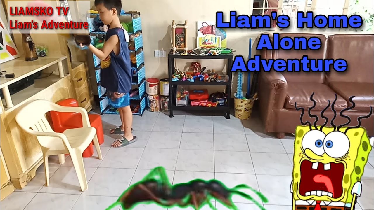 Exciting Home Alone Video of Liam!! - YouTube