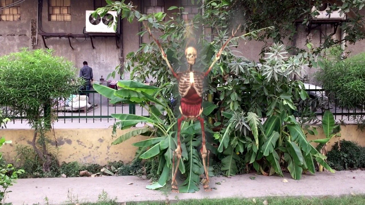 Burned to the bones - Houdini VFX Video - YouTube