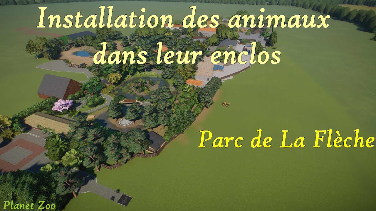 Installation des animaux dans leur enclos | Ep.26 | parc de la Flèche ...