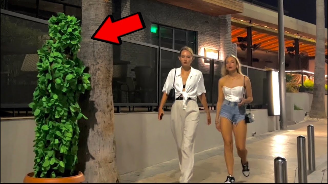 She walked into A Tree. Bushman prank - YouTube