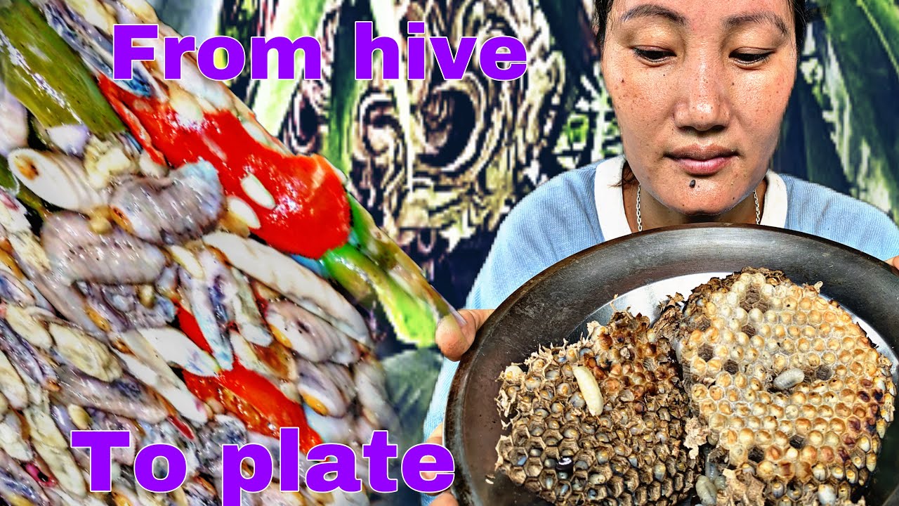 Bee Larvae hard to find Harvesting, Cooking, and Enjoying the Most Expensive Delicacy 😋 - YouTube