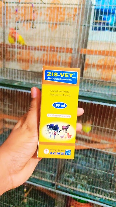 আমাদের লাভ বার্ড পাখি ব্লিডিং এর জন্য আমরা zis-vet এই ওষুধটি আজ তাদের খেতে দিলাম। - YouTube