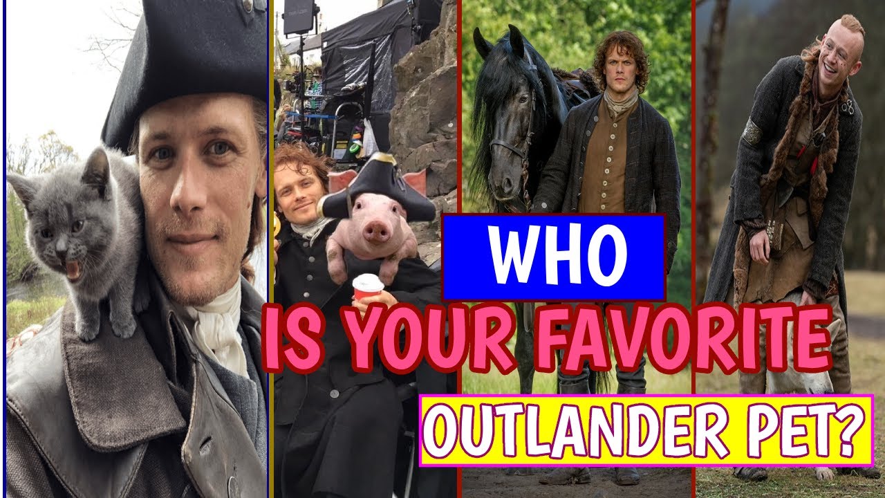 Who Would Be Your Outlander Pet l Fun Quiz l Pets Analysis - YouTube