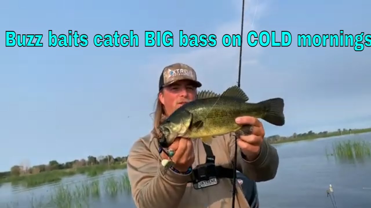 Catching BIG BASS on buzz baits - YouTube