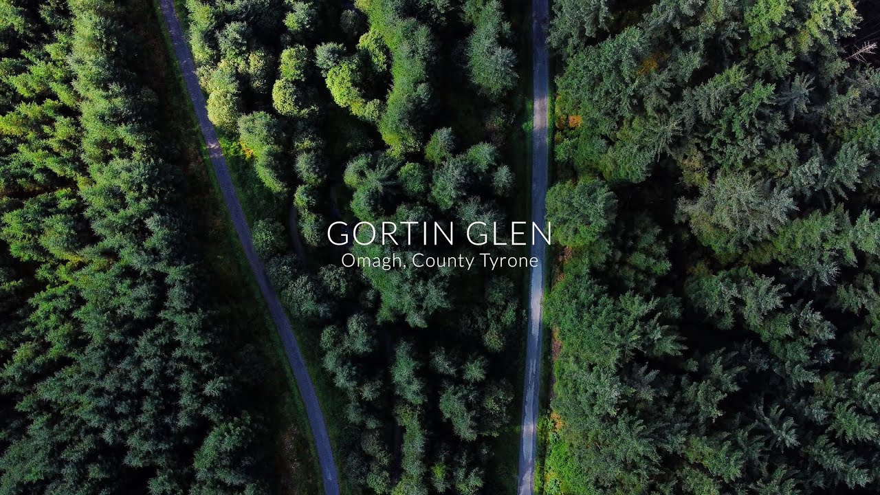 Gortin Glen Forest & Lakes | Cinematic Drone Footage - YouTube