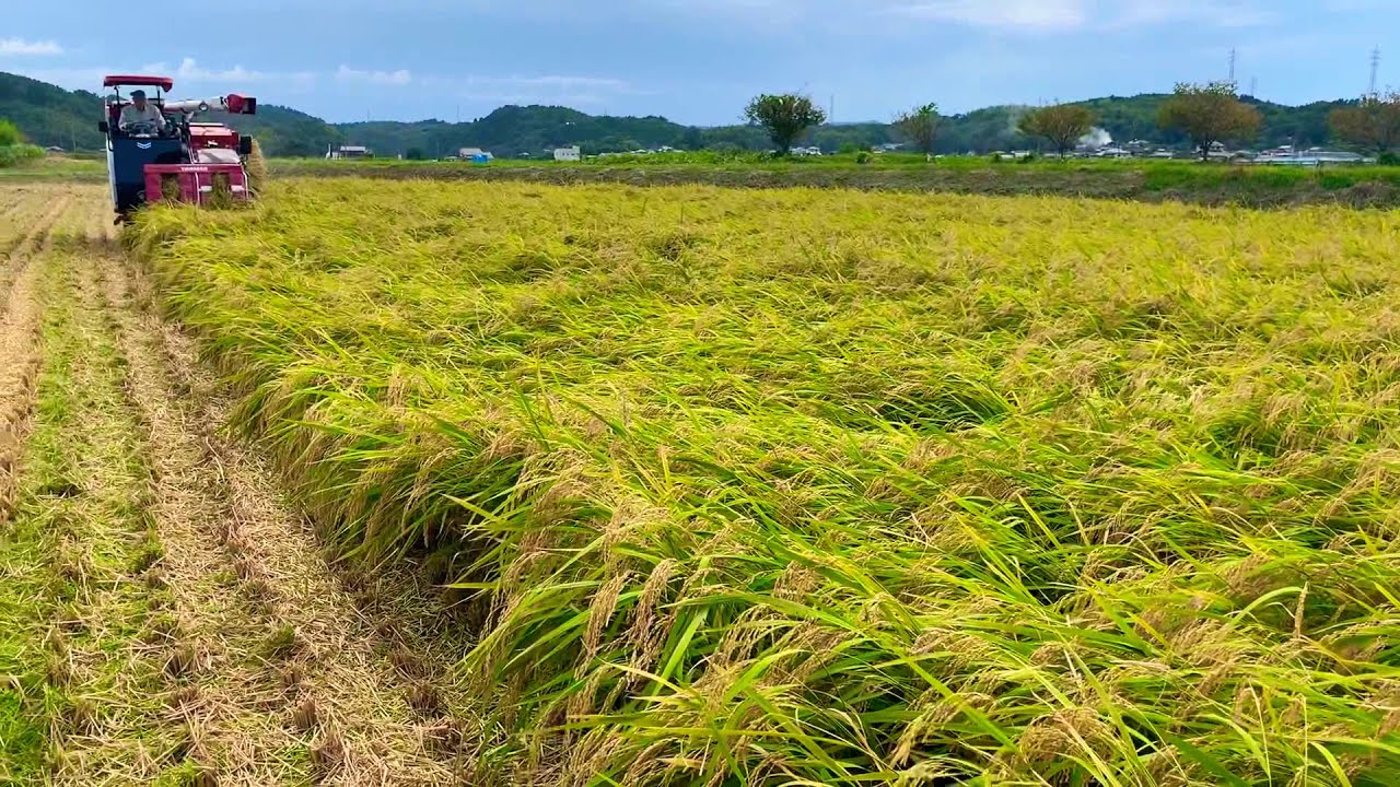 YANMAR YH462A JWU Best match model - YouTube