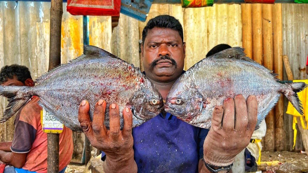 KASIMEDU 🔥 SPEED SELVAM | BIG POMFRET VAVAL FISH CUTTING VIDEO | 4K ...