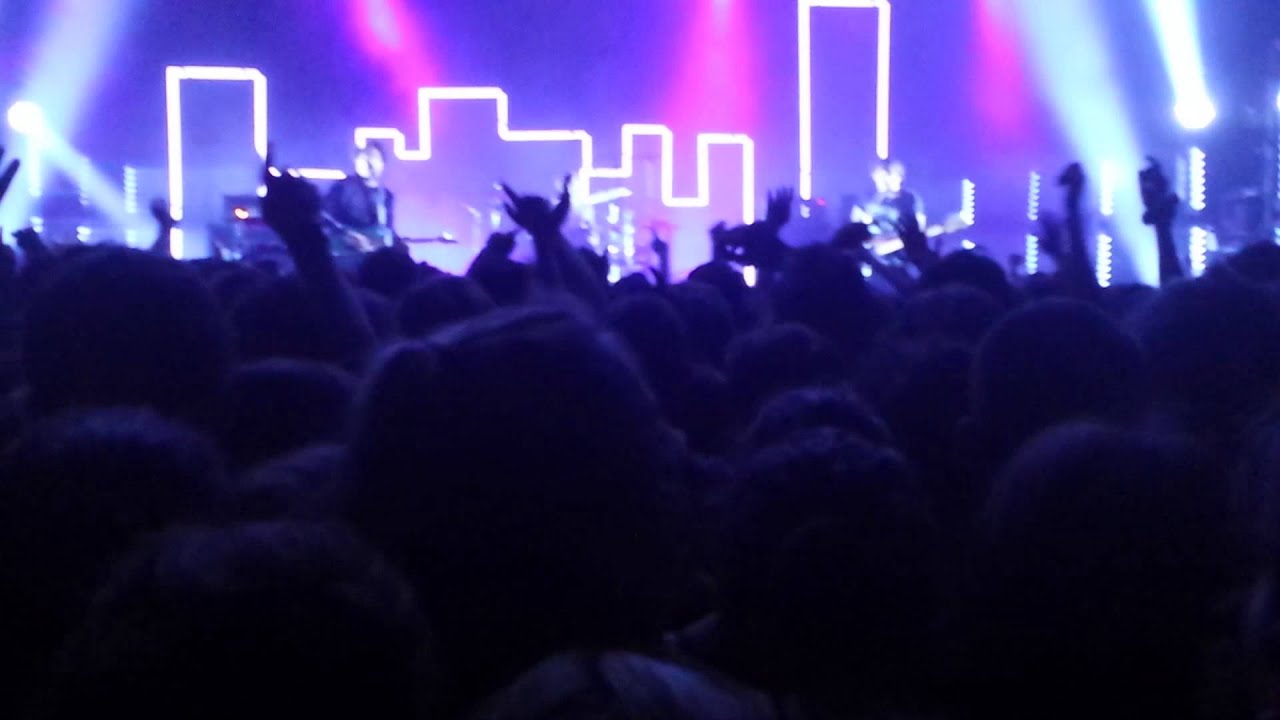 The Wombats- Party in a forest (Where's Laura?) - YouTube