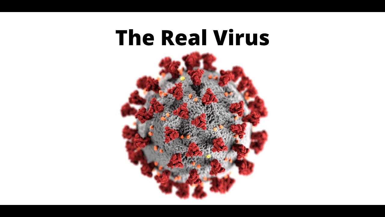 The Real Virus - YouTube