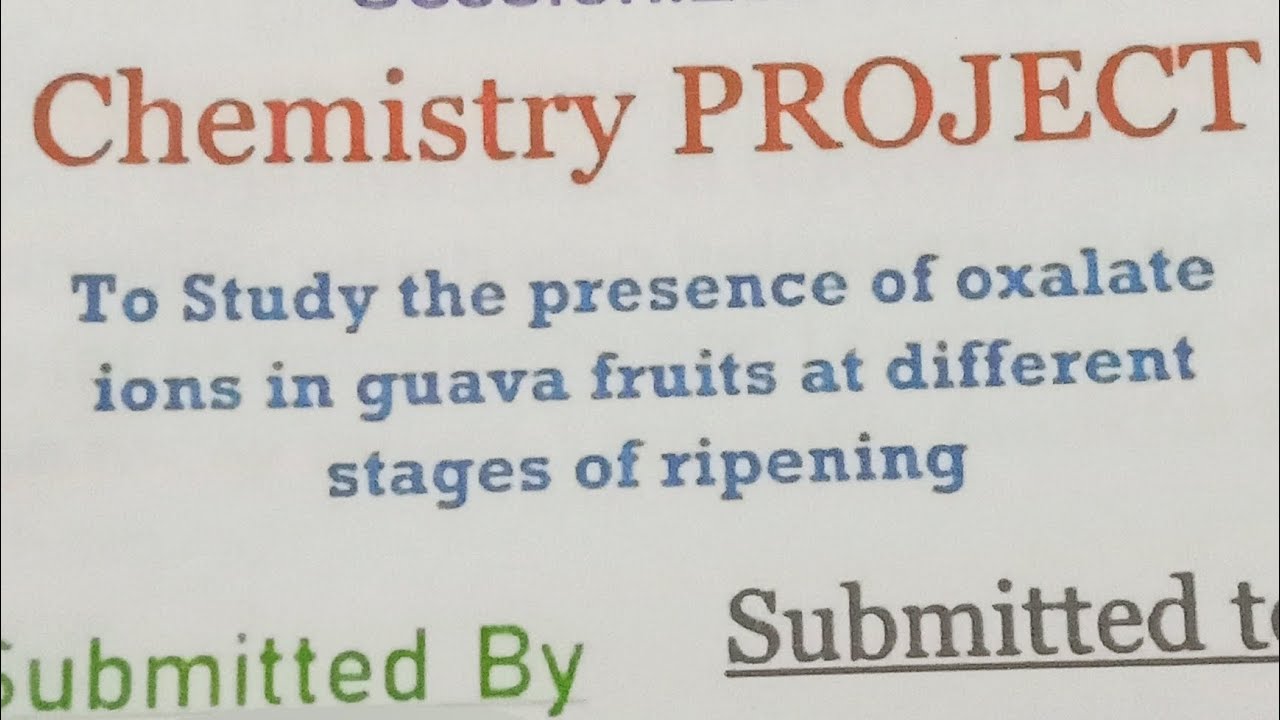 Class 12 Chemistry Project File rides||Board project :presence of ...