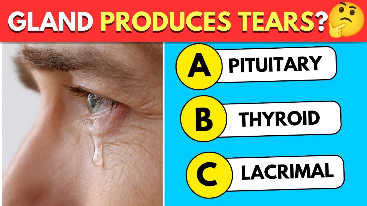 Can You Pass This Human Body Quiz? 🧠 50 General Knowledge Trivia Quiz ...
