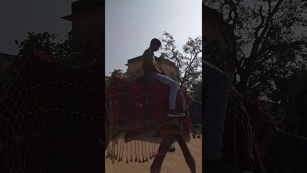 19 November 2019 - YouTube