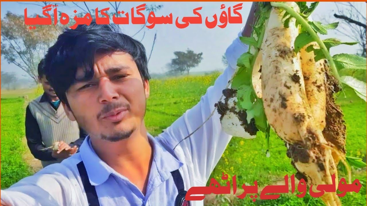 Gao ke mashoor prathe khane ka apna hi mza | New Vlog |Daily routine 4u ...