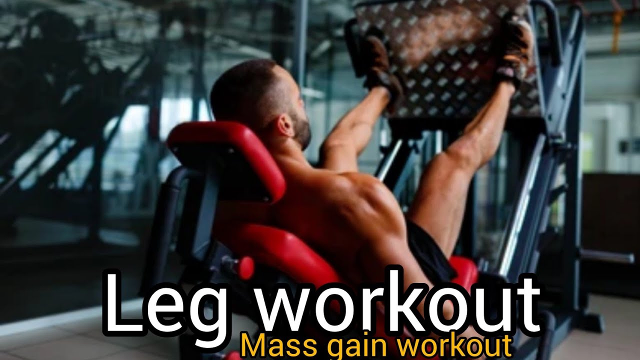 top 5 leg workout | Mass building program, intensive exercise - YouTube