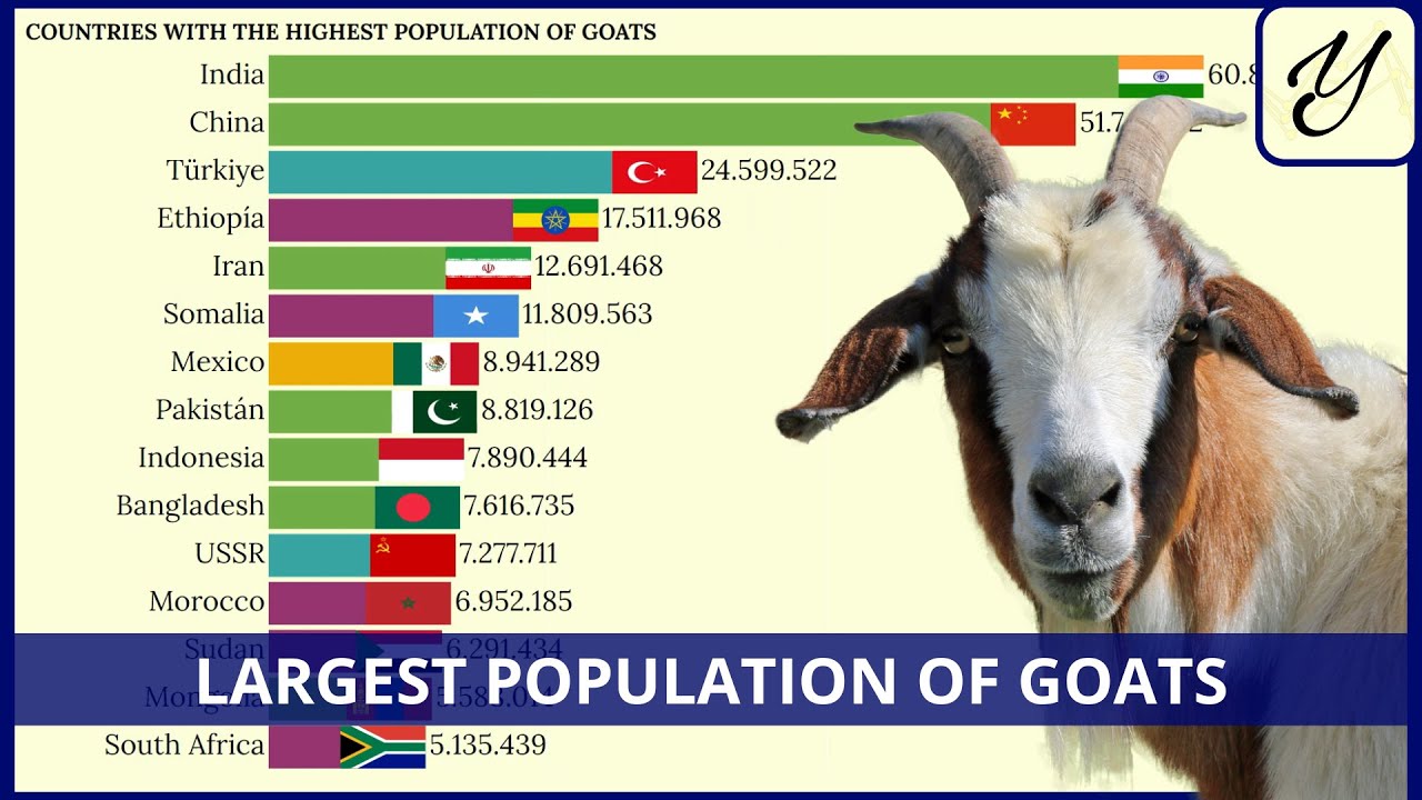 COUNTRIES with largest GOAT POPULATION - YouTube
