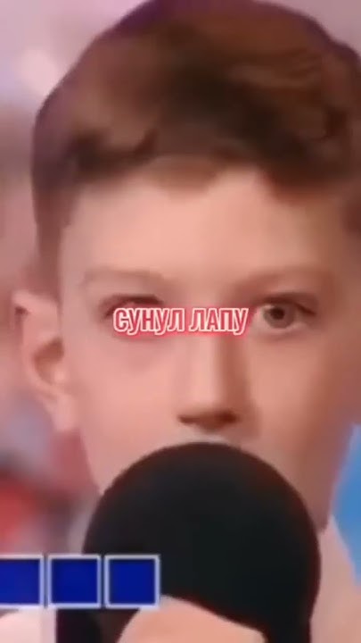 бедный заяц Youtube