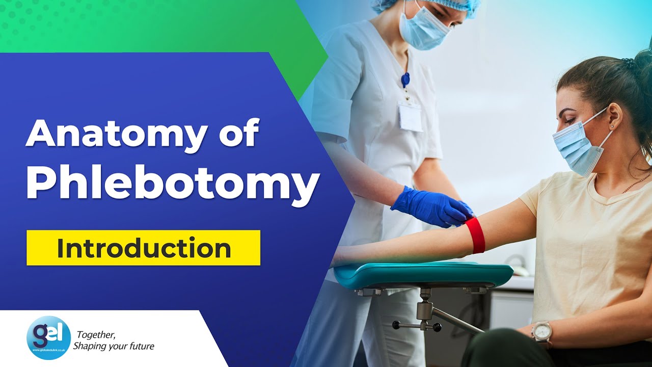 Specialise in Phlebotomy I Certified Phlebotomist I Global Edulink ...