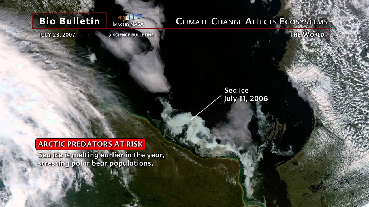 Science Bulletins: Climate Change affects Ecosystems - YouTube