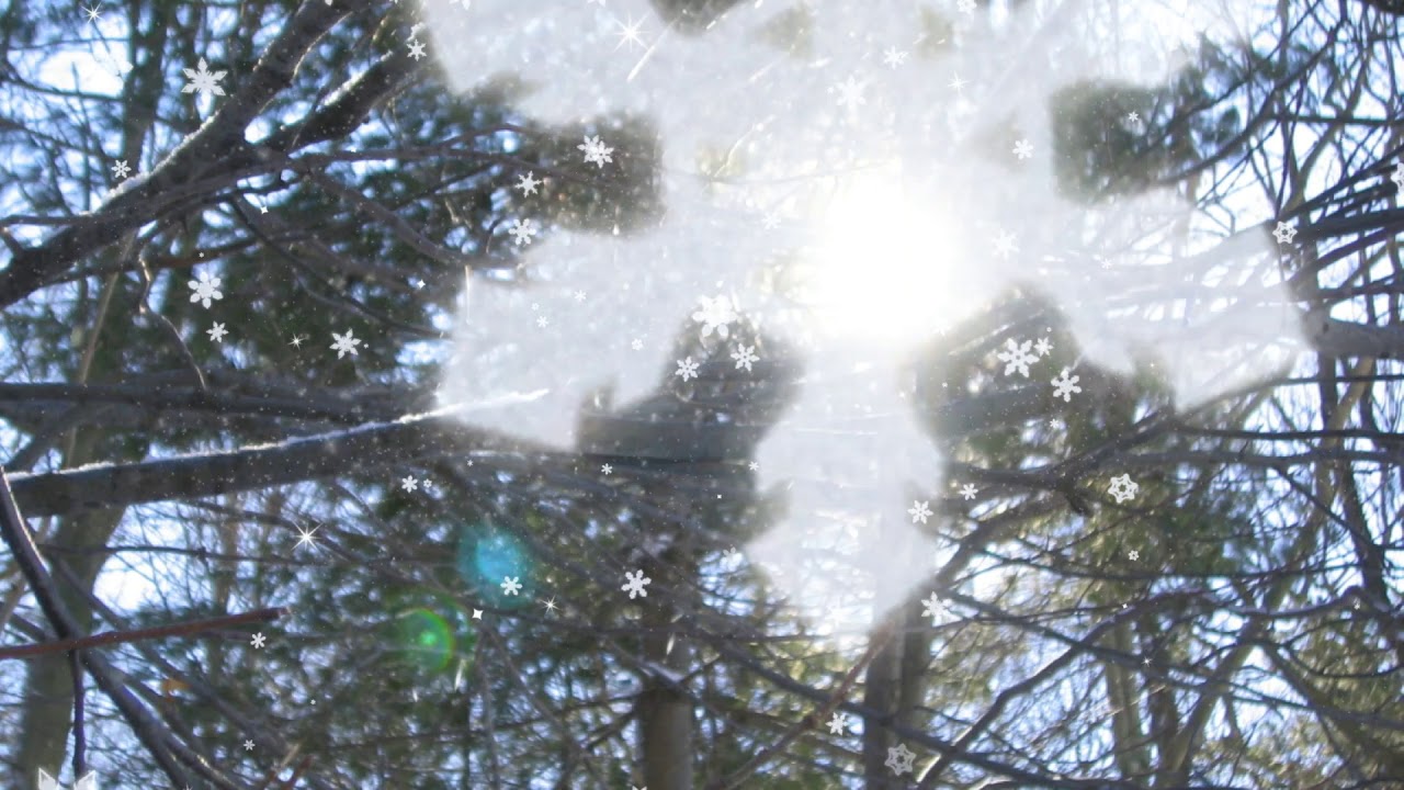 Cathedral of Trees Amid Untrodden Snow (original song) by Helena ...