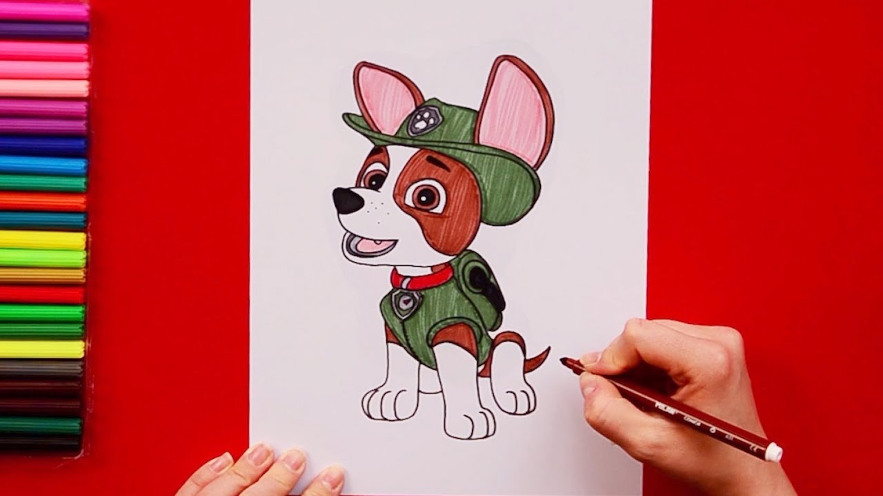 How to draw Tracker - Paw Patrol Characters - YouTube