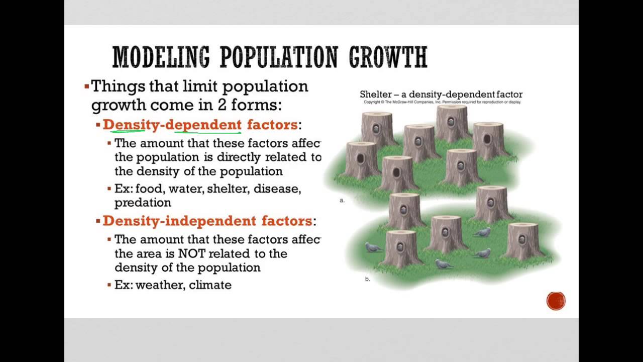 Modeling Population Growth - YouTube