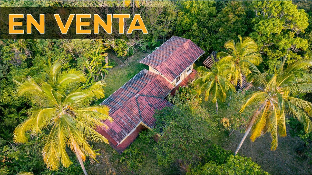 #22461 VIVE RODEADO DE NATURALEZA en esta increíble finca cerca de ...