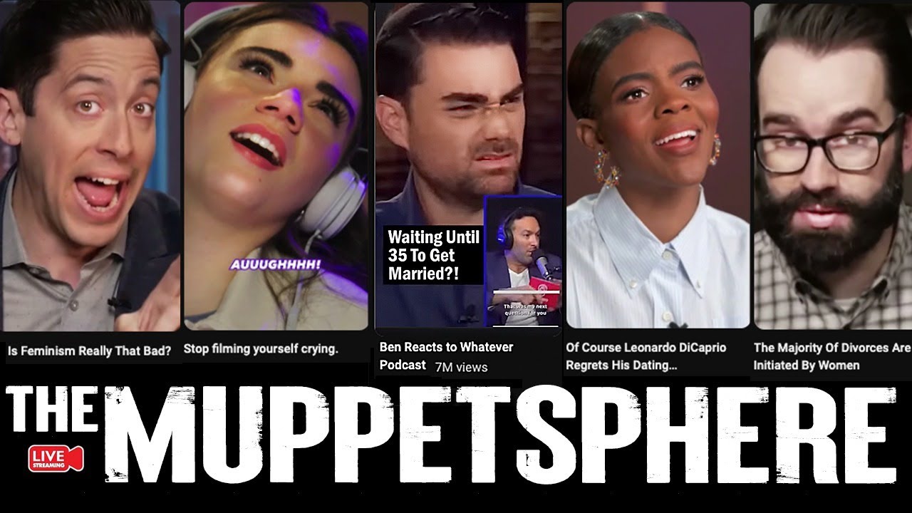 How The Daily Wire became Manosphere Cartoons @realdailywire - YouTube