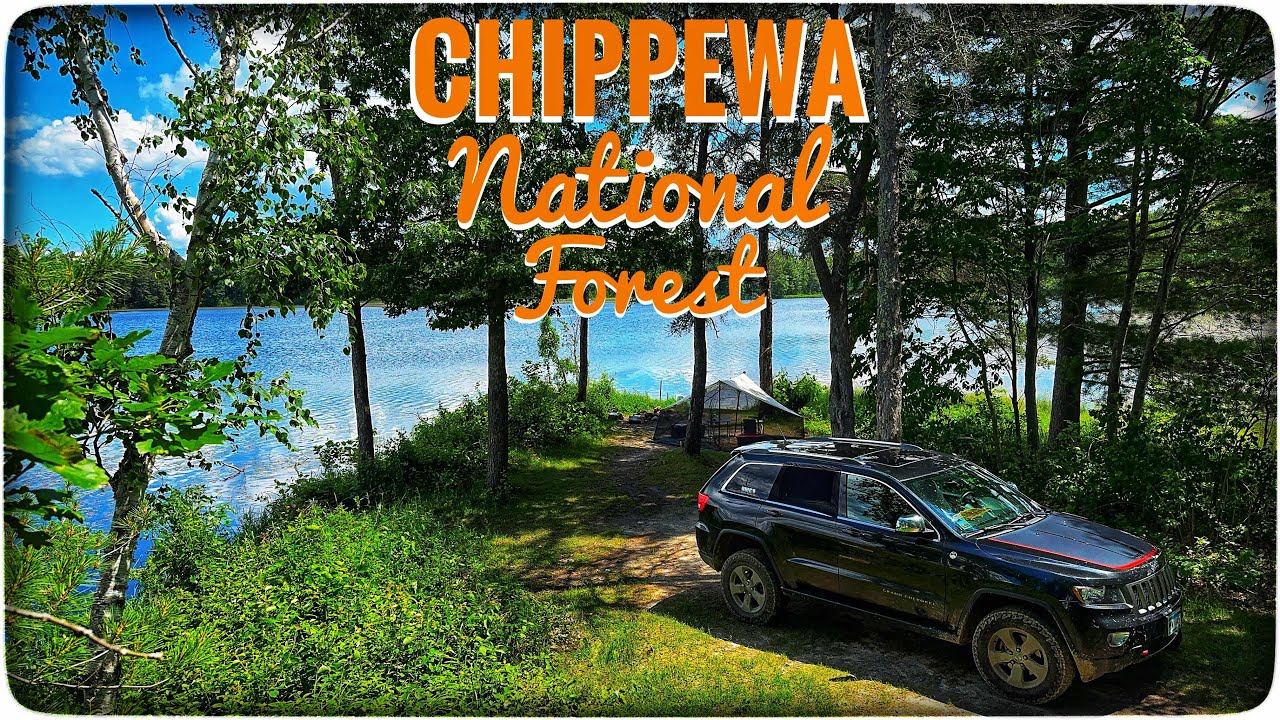 Chippewa National Forest: Free Lakeside Car Camping - YouTube