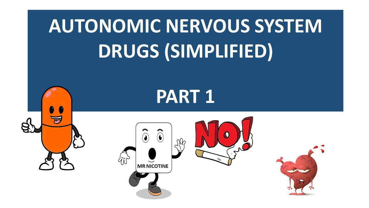 SIMPLIFIED PHARMACOLOGY - AUTONOMIC NERVOUS SYSTEM DRUGS PART 1 - YouTube