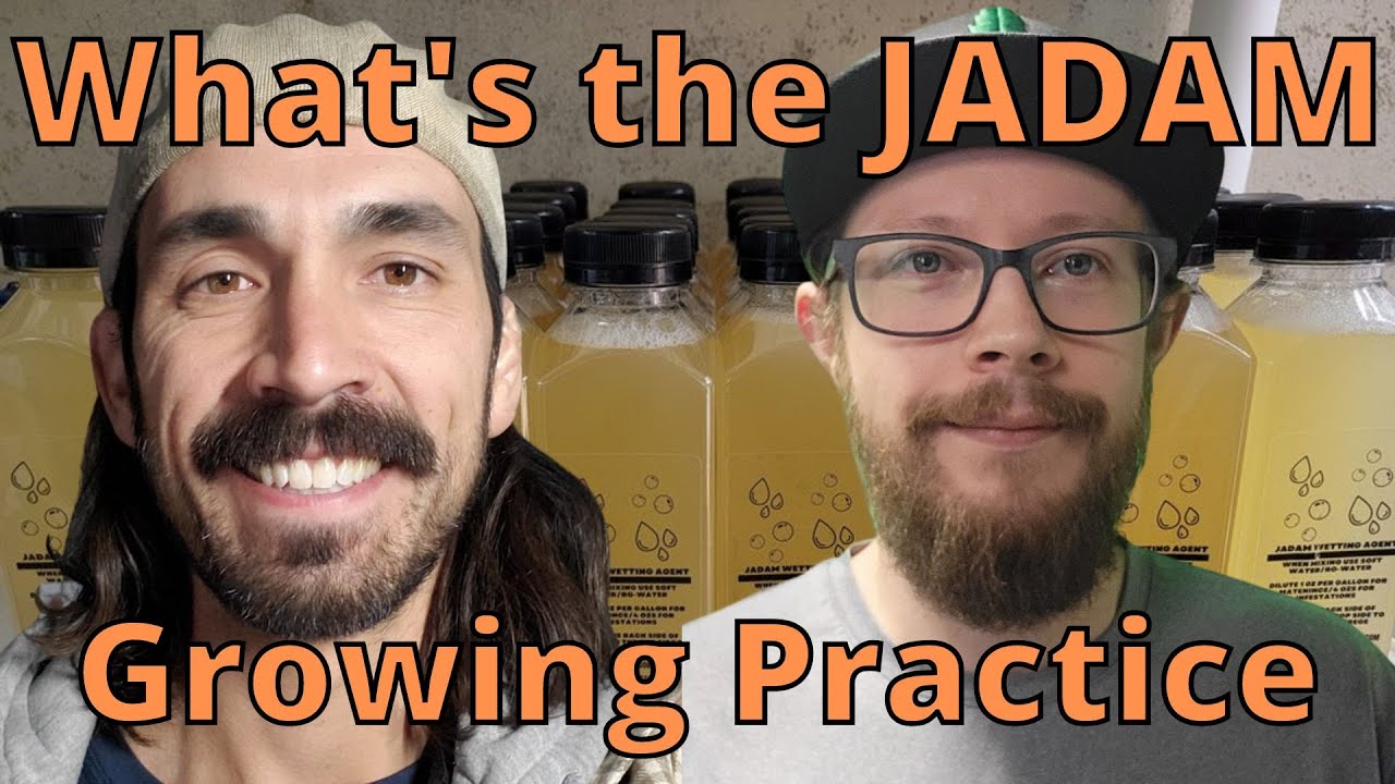 What is the JADAM growing Practice - YouTube