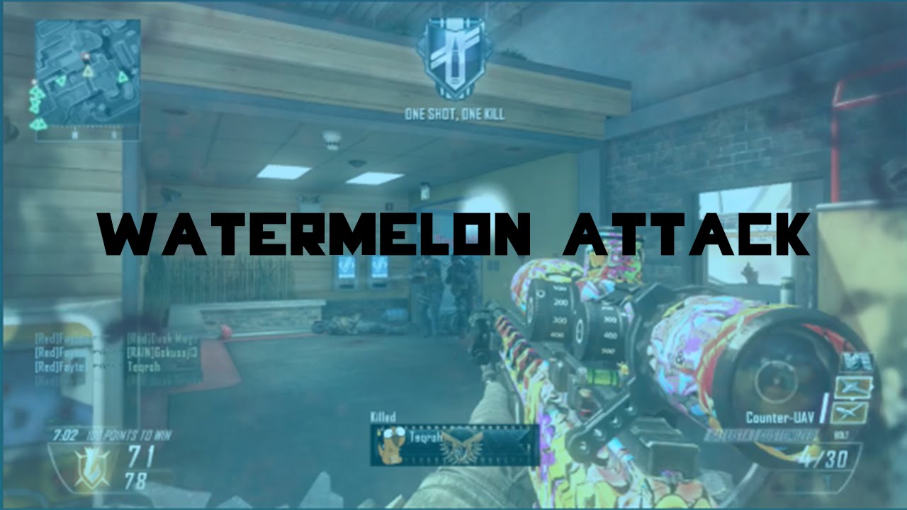Watermelon Attack (Bo2 Clips & Fails) - YouTube
