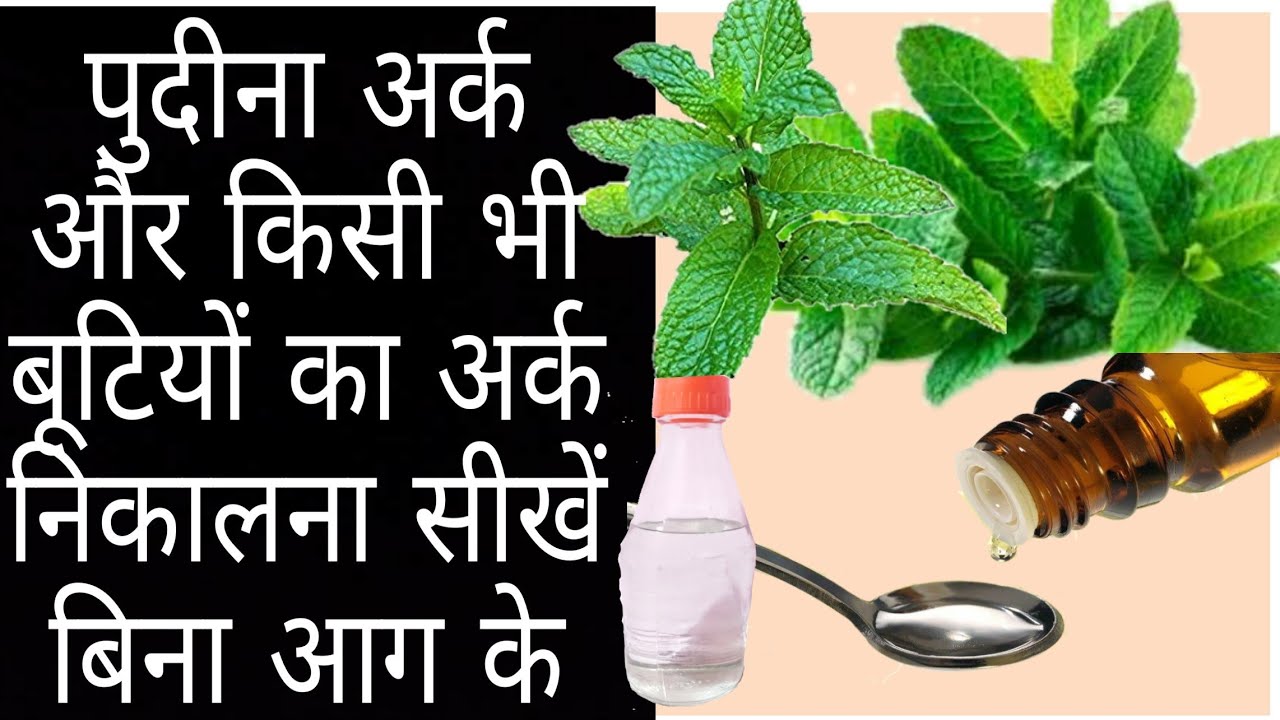 Pudina ark make at home ! पुदीने का अर्क निकालना सीखें बिना आग के ...