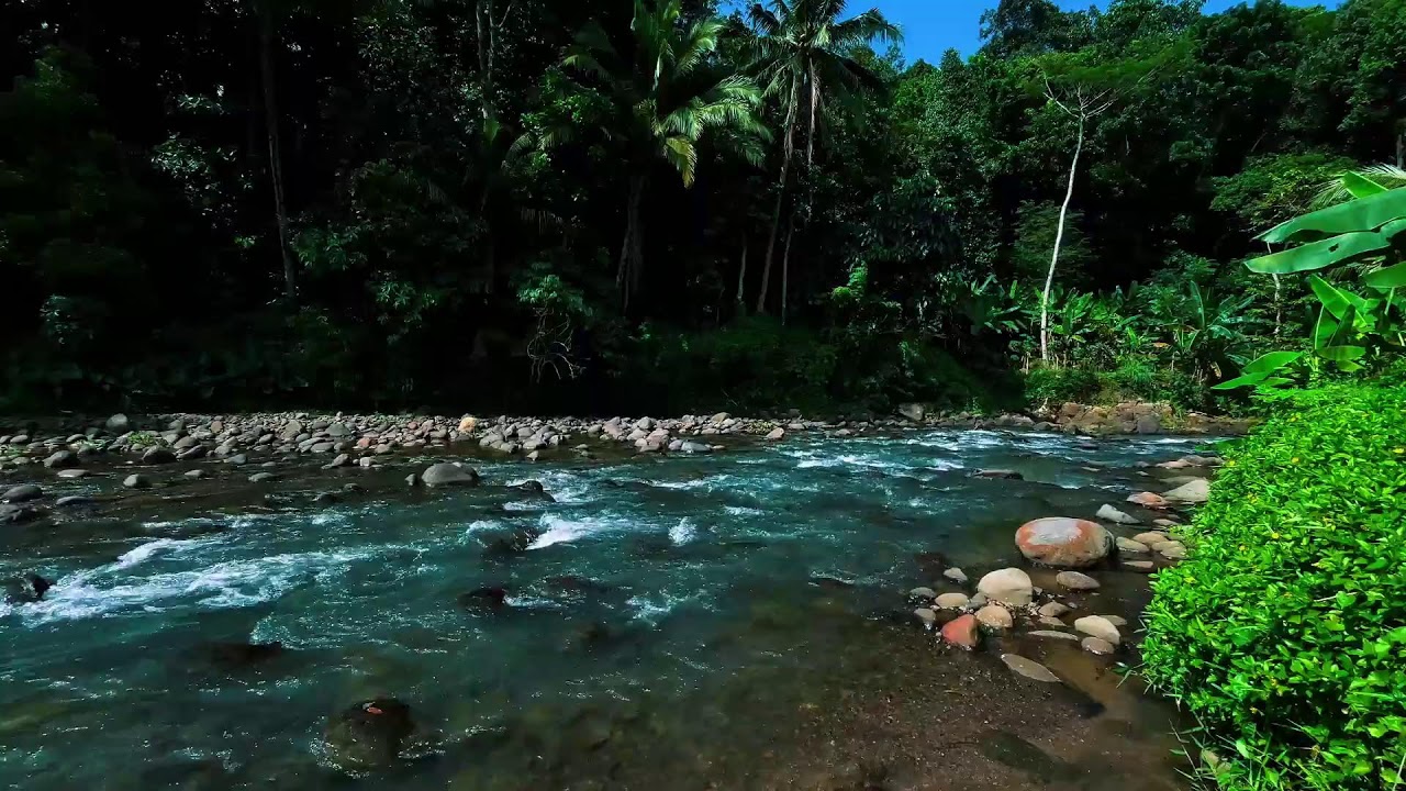 Relaxation River Flowing Water Ambience | Natural Stream for Peaceful ...