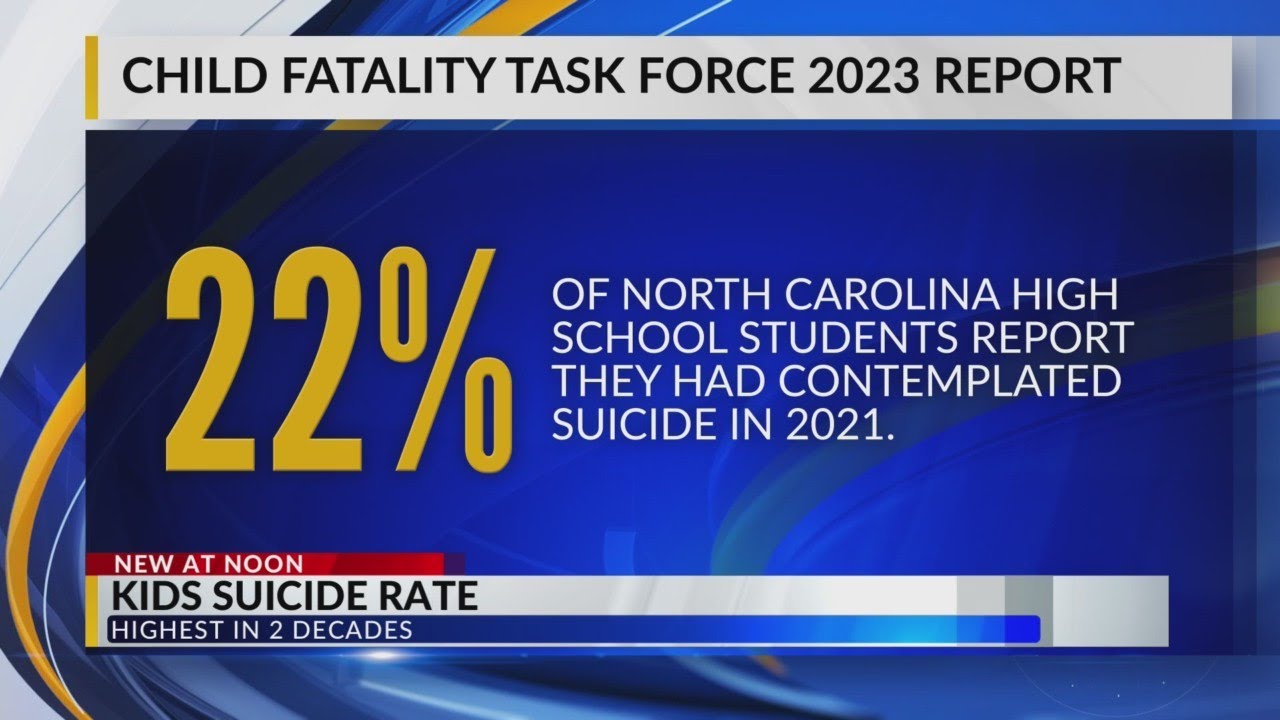 Child Fatality Task Force 2023 report released - YouTube