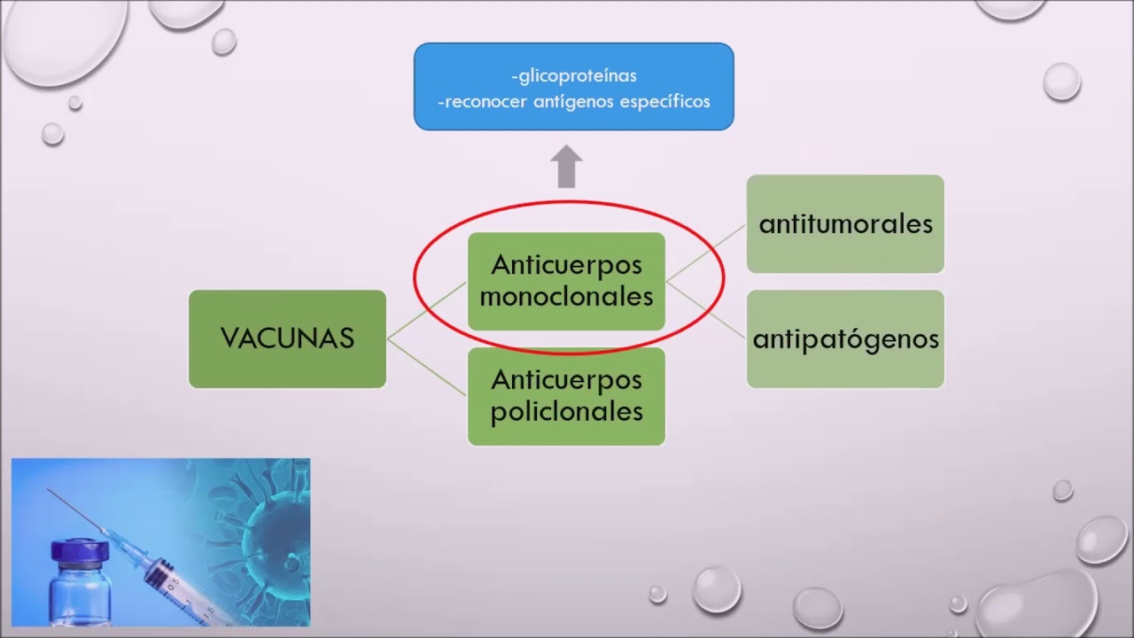 FARMACOS INMUNOMODULADORES - PROYECTO FARMACOLOGIA II - YouTube