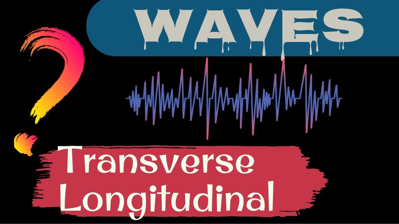 waves | Transverse and Longitudinal waves | Transfer of energy ...
