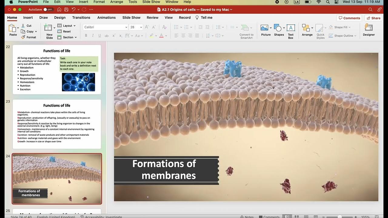IB Biology A2.1: Origins of cells (First Exams 2025) - YouTube