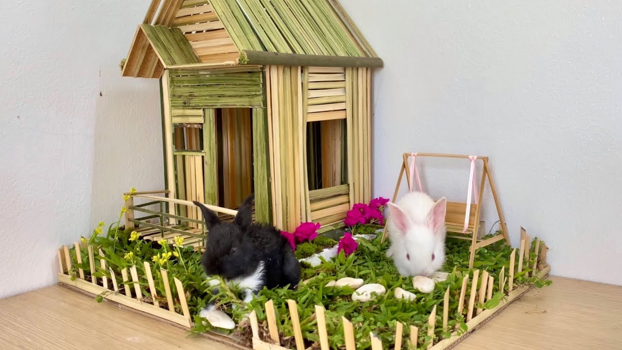 Baby rabbit playing in the mini garden - Mini house made of bamboo with ...