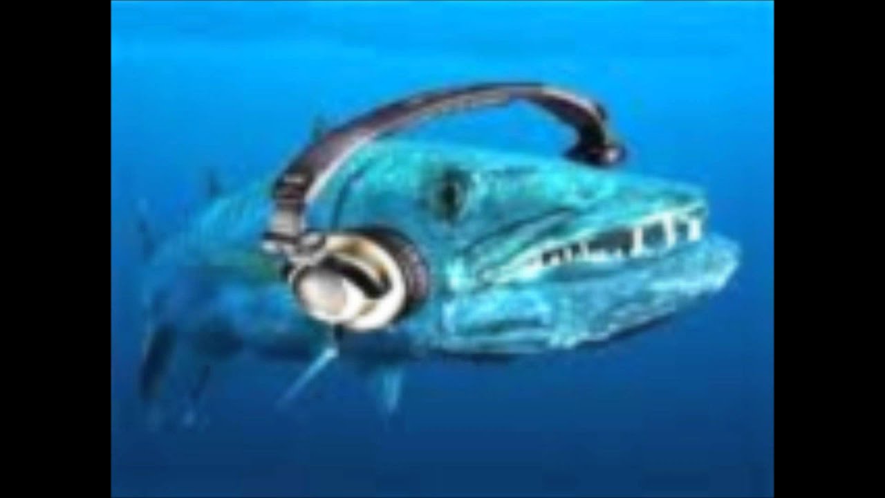 Blue Barracudas- Blue Barracuda - YouTube